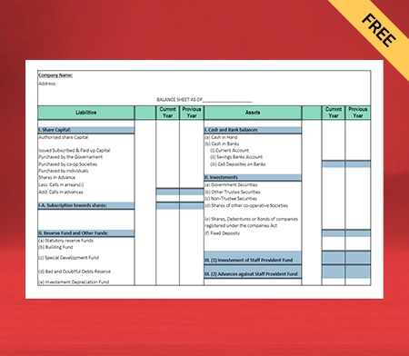 Cooperative Society Balance Sheet Format Free Download