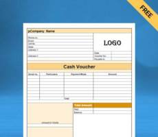 Cash Receipt Voucher Format in Word Free Download