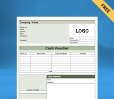 Cash Receipt Voucher Format in Word Free Download