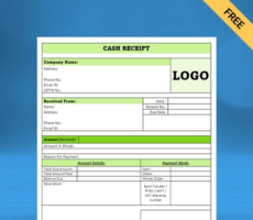 Cash Receipt Format in Word Free Download